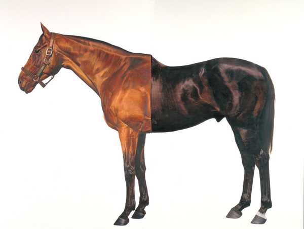‘Half-Brother (Exit to Nowhere - Machiavellian)‘, Mark Wallinger, 1994 ...