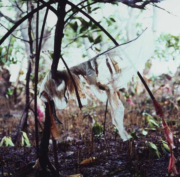 ‘Channel #22‘, Simryn Gill, 2014 | Tate