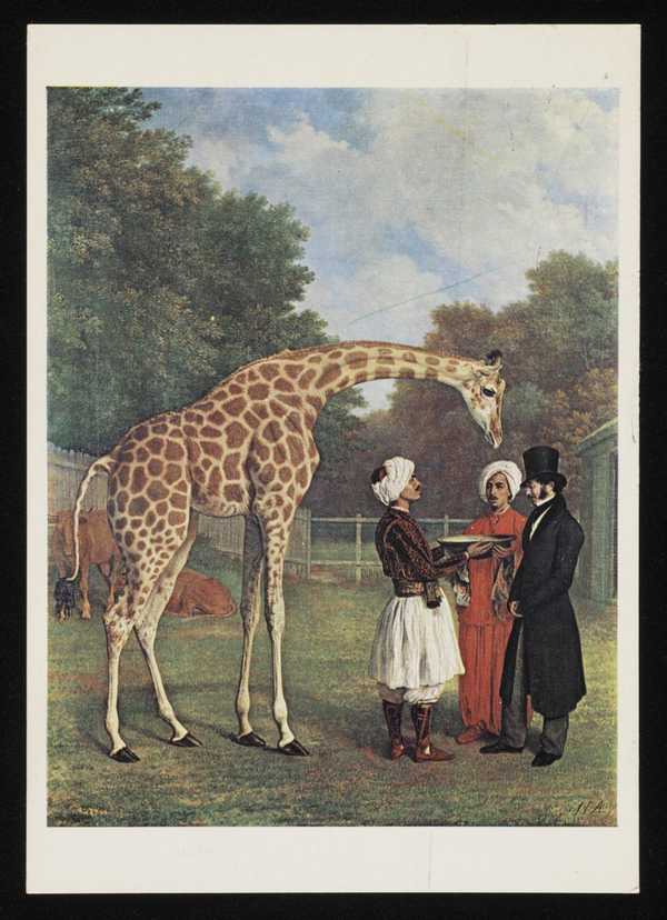 Postcard from Godfrey Samuel‘, Godfrey Samuel, recipient: Marie-Louise ...