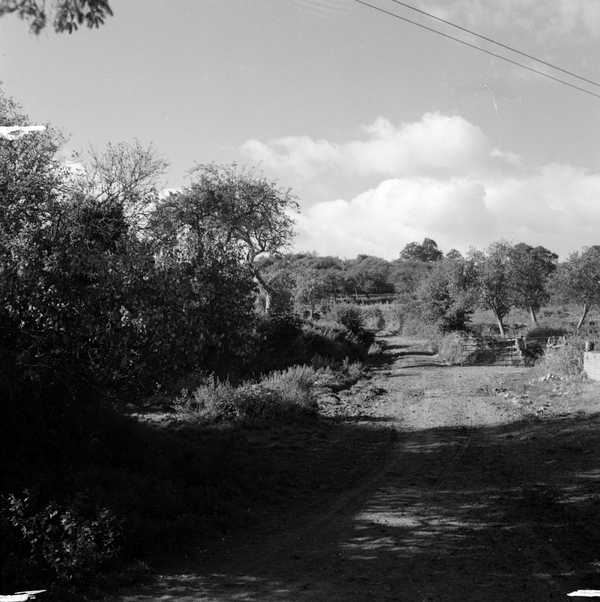 Photograph of a country road view in Rochford, Teme Valley ...