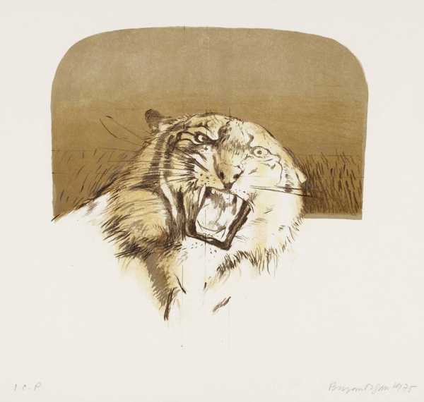 ‘1. Tiger‘, Bryan Organ, 1974 | Tate
