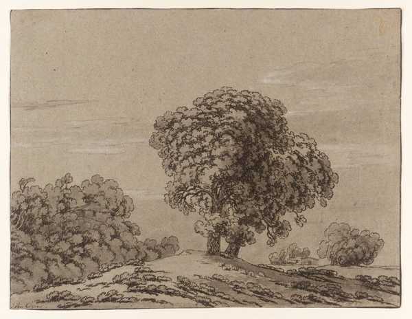 ‘Study of Trees‘, John Robert Cozens, 1789 | Tate