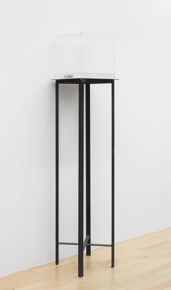 ‘Condensation Cube‘, Hans Haacke, 1963–5 | Tate