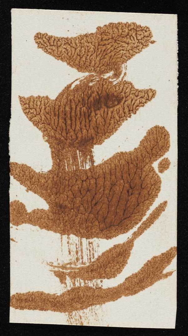 Printmaking experiment‘, Cecil Collins‘, Cecil Collins – Tate Archive ...