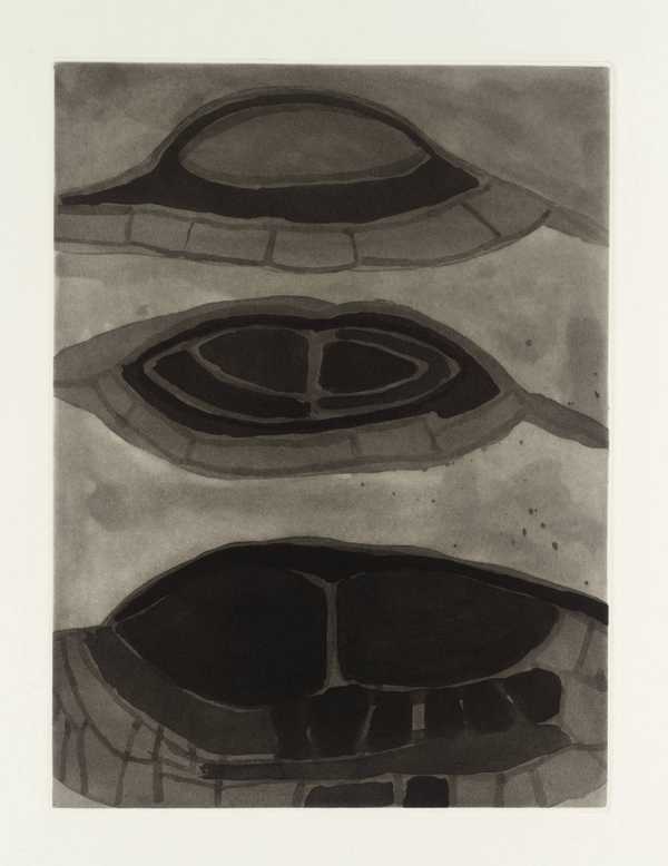 ‘Field Note (20)‘, Terry Winters, 1992 | Tate