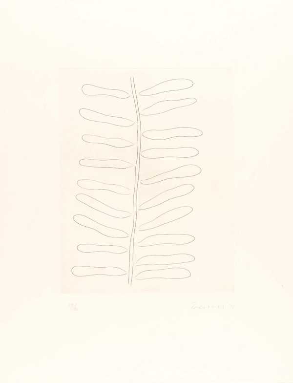 ‘Leaves - Drypoint XV‘, William Turnbull, 1971 | Tate