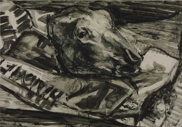 ‘Sheep’s Head on Newspaper‘, Peter Coker, 1955 | Tate