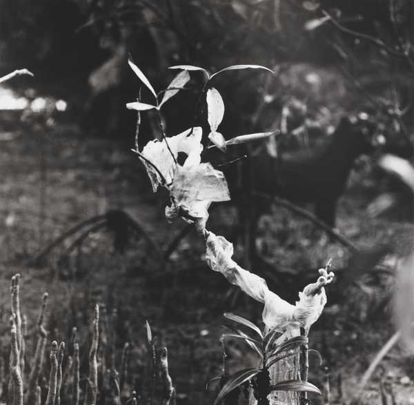 ‘Channel #4‘, Simryn Gill, 2014 | Tate