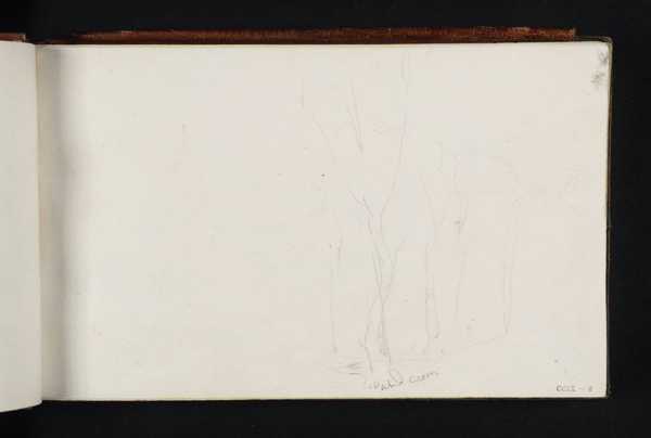 ‘Trees‘, Joseph Mallord William Turner, c.1824 | Tate