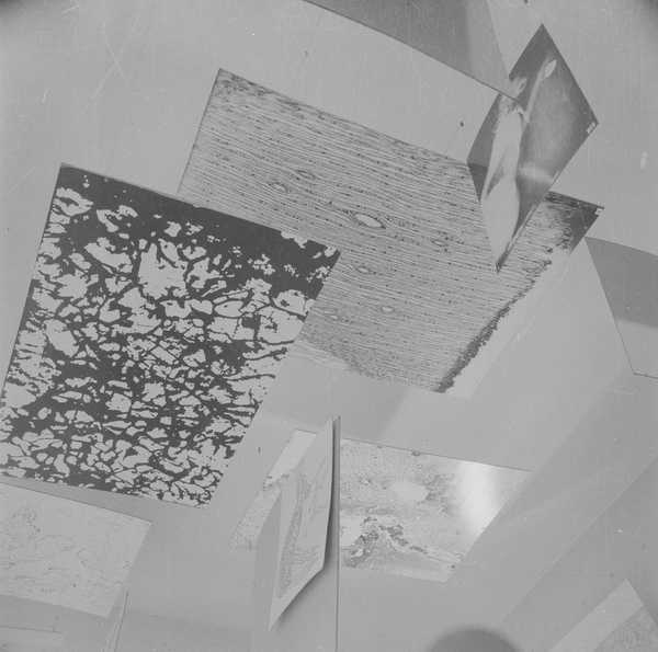 Photograph of installation view of Parallel of Life and Art exhibition ...