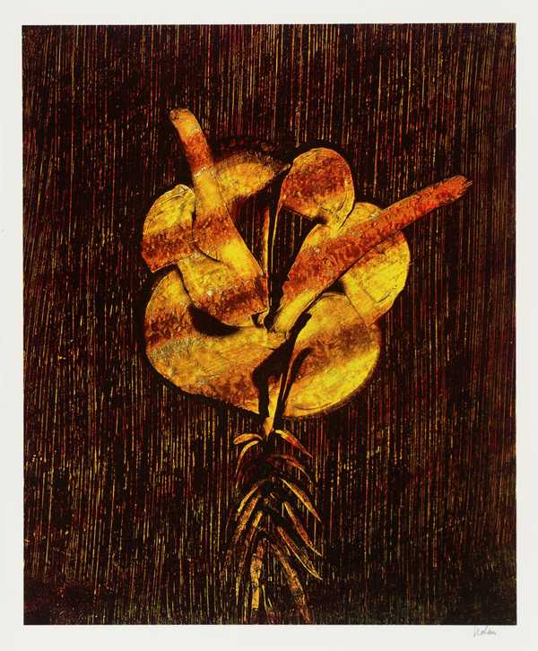 ‘Print 10‘, Sir Sidney Nolan, 1972 | Tate