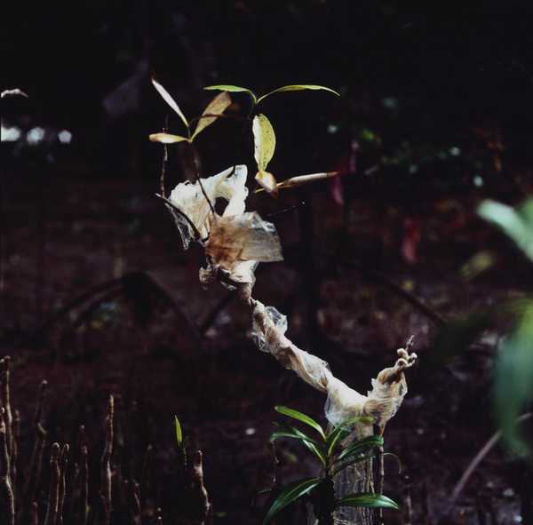 ‘Channel #27‘, Simryn Gill, 2014 | Tate