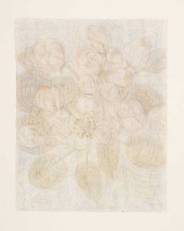 ‘Apple Blossom II‘, Leonard McComb, 1975–9 | Tate