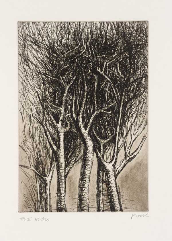 ‘Trees II Upright Branches‘, Henry Moore OM, CH, 1979 | Tate