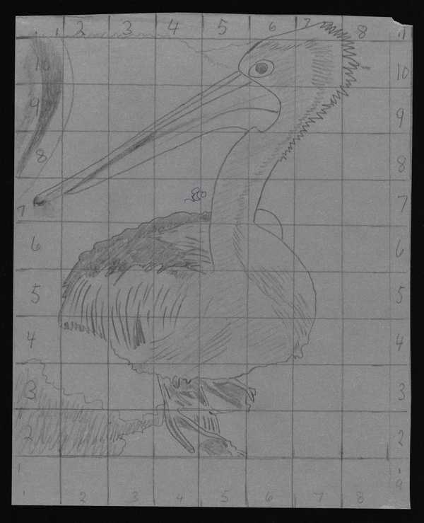 Tracing of a pelican on a grid‘, Eileen Agar‘, Eileen Agar – Tate ...