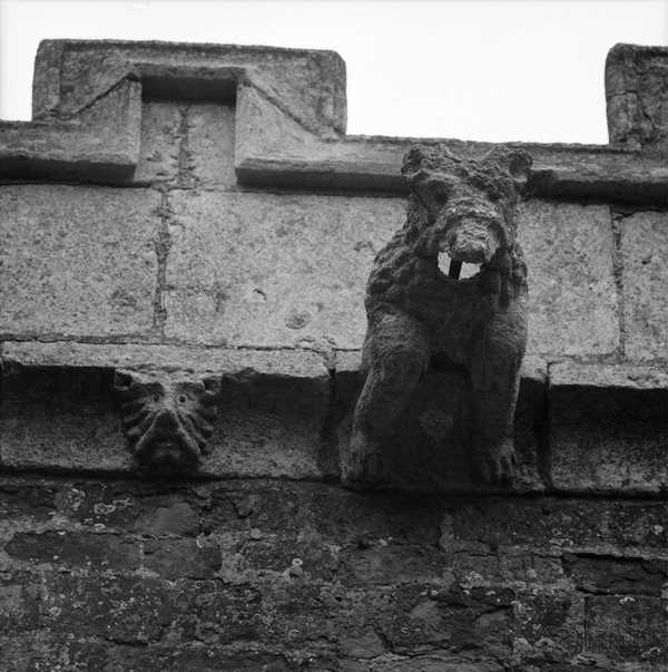 Photograph of a gargoyle at Lowesby Church in Leicestershire‘, John ...