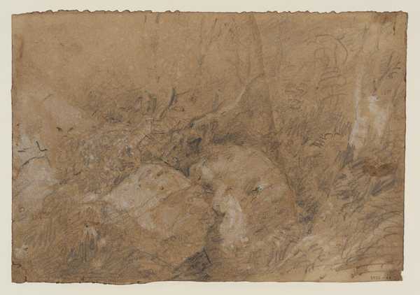 ‘Silver Birch Stems, Rocks and Foliage‘, Joseph Mallord William Turner ...