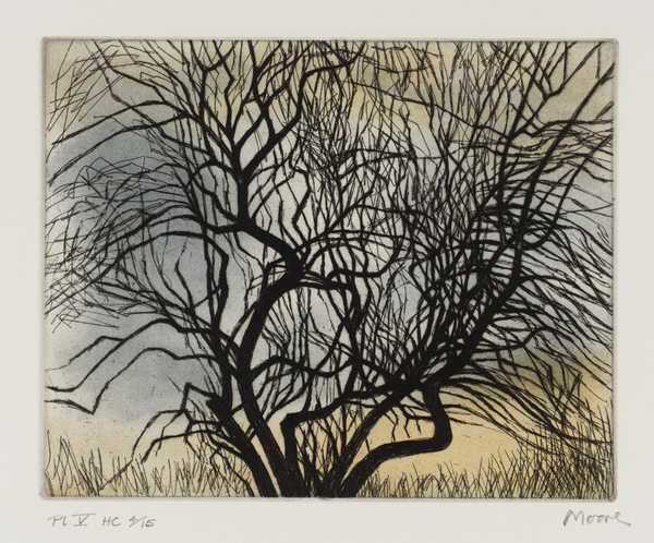 ‘Trees V Spreading Branches‘, Henry Moore OM, CH, 1979 | Tate