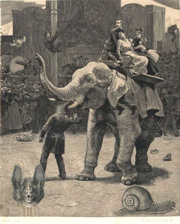 ‘Total Panic II‘, Franz Roh, 1937 | Tate