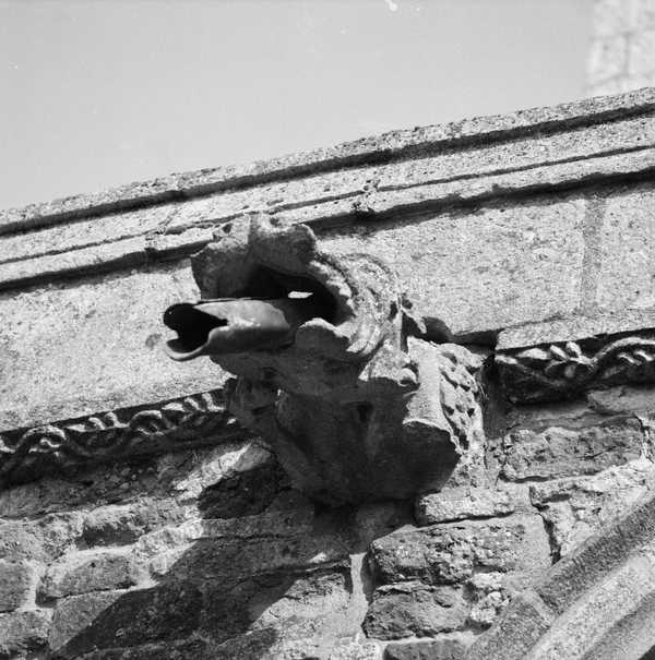 Photograph of a gargoyle at St Andrew’s Church in Coston ...
