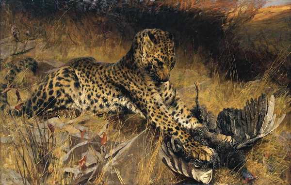 Arthur Wardle 1864–1949 | Tate