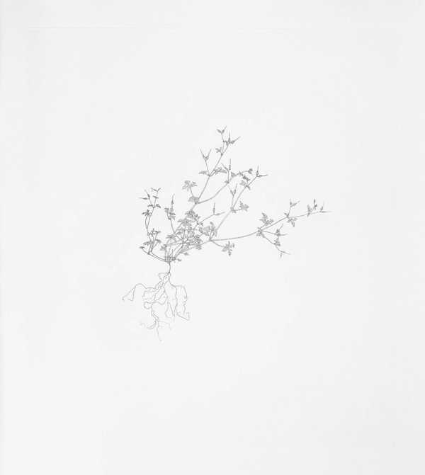 ‘Nourishment‘, Michael Landy CBE RA, 2002 | Tate