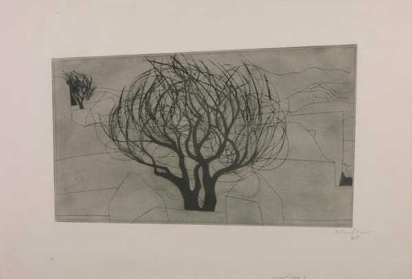 ‘Paros tree‘, Ben Nicholson OM, 1967 | Tate