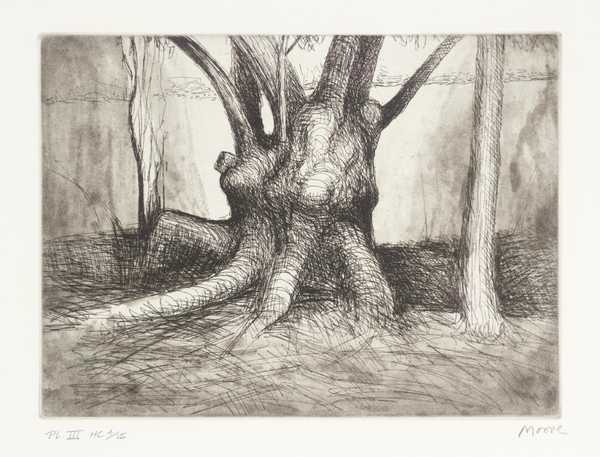 ‘Trees III Knuckled Trunk‘, Henry Moore OM, CH, 1979 | Tate