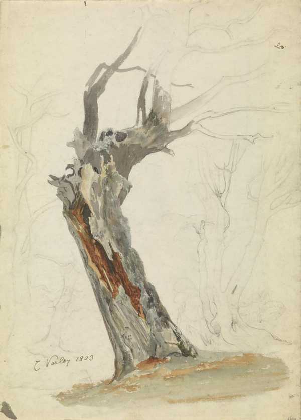 ‘Study of a Tree. Verso: Sky Study‘, Cornelius Varley, 1803 | Tate