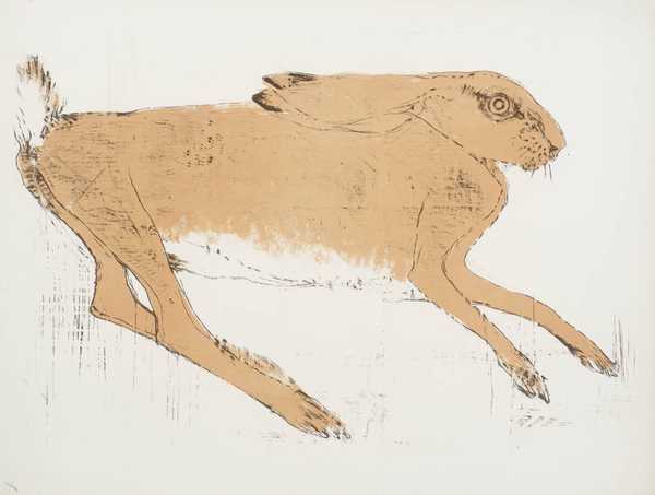 ‘Hare‘, Dame Elisabeth Frink, 1967 | Tate