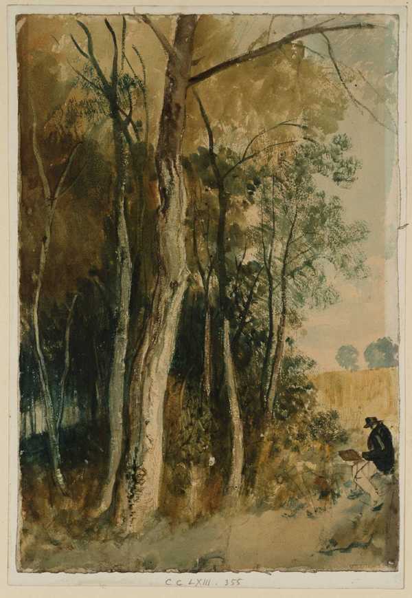 ‘Study of Trees‘, Joseph Mallord William Turner, c.1820–30 | Tate