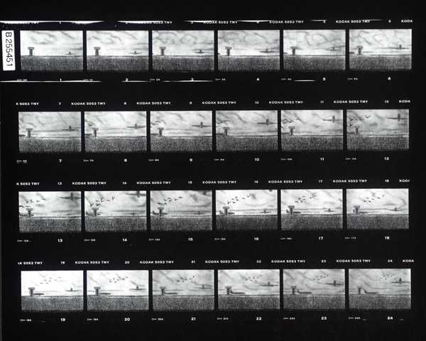 James Pyman born 1962 | Tate