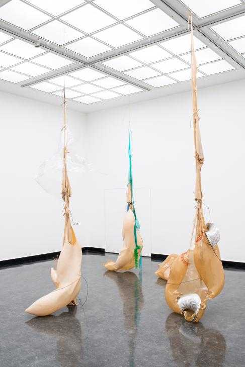 Daiga Grantina born 1985 | Tate