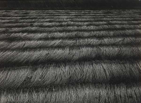 ‘Untitled (Linen Field, Normandy)‘, Guy Bourdin, c.1950s | Tate