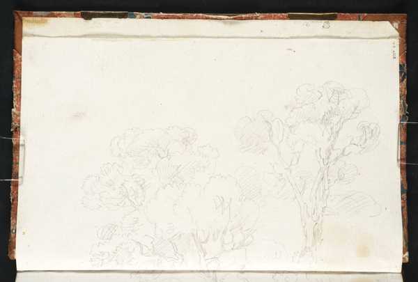 ‘Two Trees‘, Joseph Mallord William Turner, 1805 | Tate