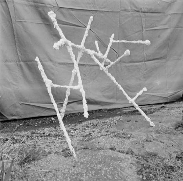 Photograph showing artwork possibly by William Turnbull‘, Nigel ...