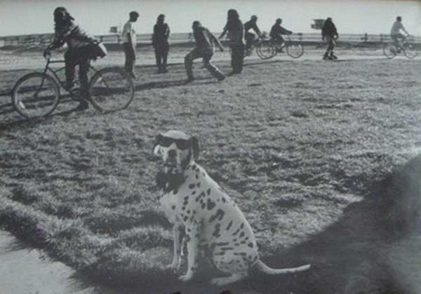 Peter Suschitzky born 1941 | Tate