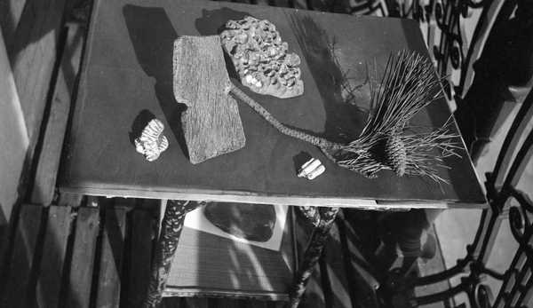 Black and white negative, still life‘, Paul Nash, [c.1935–6]‘, Paul ...