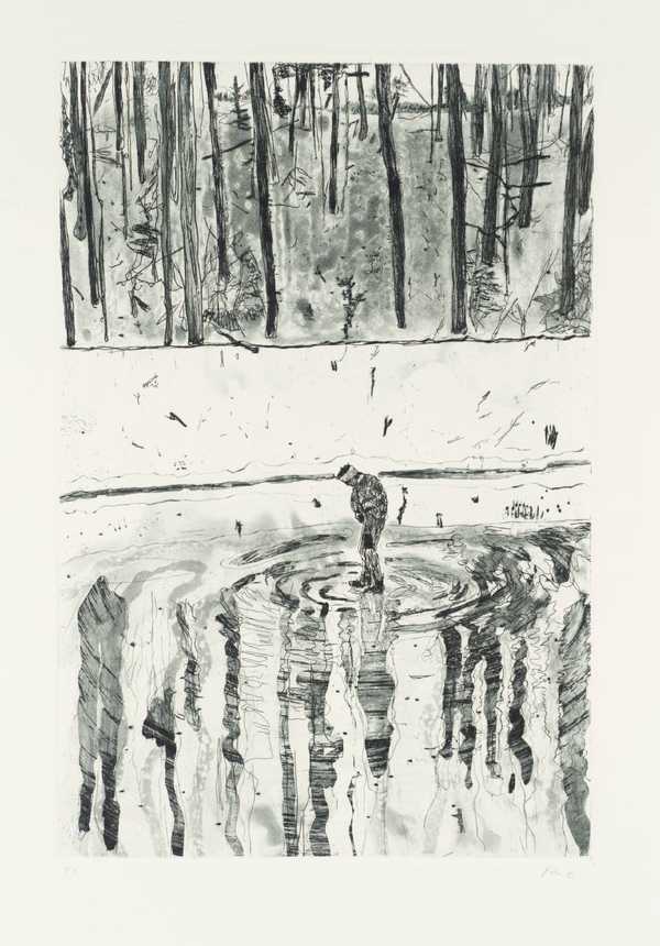 ‘Blotter‘, Peter Doig, 1996 | Tate