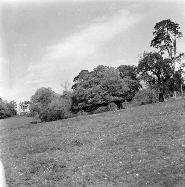 Photograph of the gardens at Stowe House, Buckinghamshire‘, John Piper ...