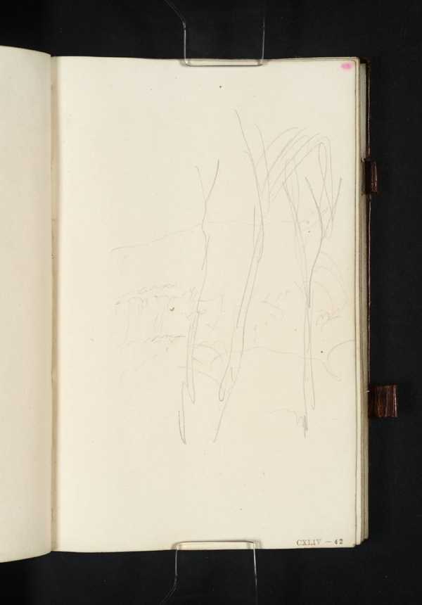 ‘Hackfall, Looking East from near the Rustic Temple‘, Joseph Mallord William Turner, 1816 | Tate