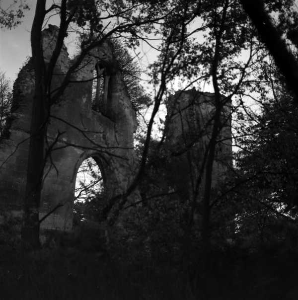 Photograph of Wimpole’s Folly in the grounds of Wimpole Hall ...