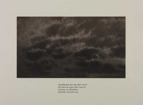 ‘Mato Grosso‘, Lothar Baumgarten, 1975 | Tate