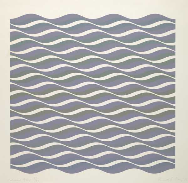 ‘Coloured Greys III‘, Bridget Riley, 1972 | Tate