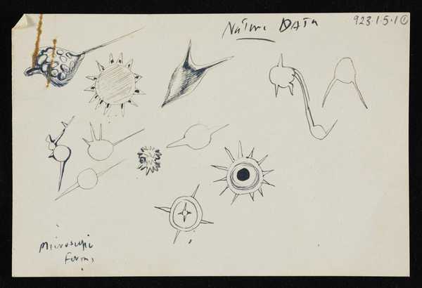 Data studies and colour charts‘, collection owner: Cecil Collins ...