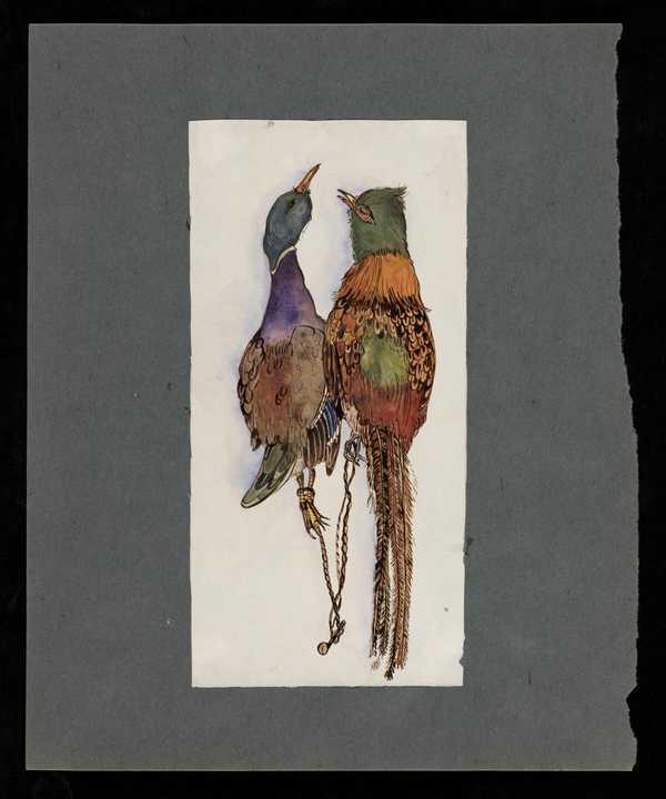 Watercolour of a dead duck and pheasant hanging on a wall‘, Ithell ...
