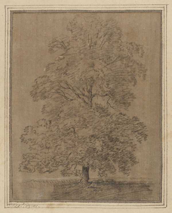 ‘Study of a Tree‘, Alexander Cozens | Tate