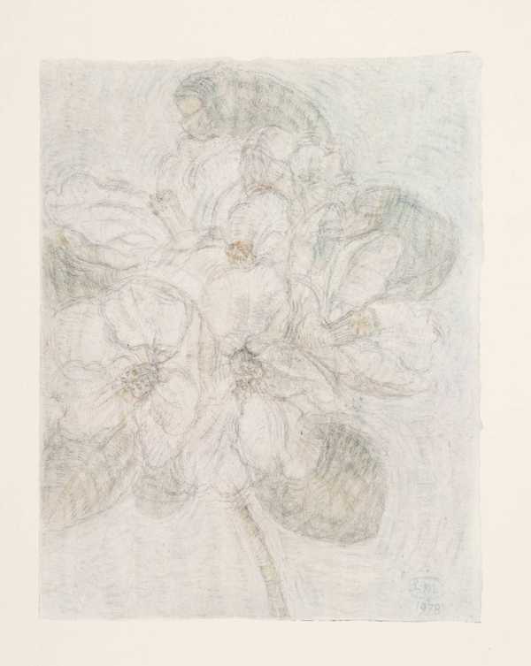 ‘Apple Blossom I‘, Leonard McComb, 1975–9 | Tate