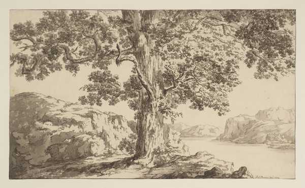 ‘Tree and Lake Scene‘, Balthazar Anton Dunker | Tate