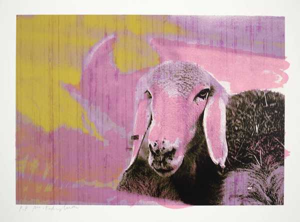 ‘Sheep Head B‘, Menashe Kadishman, 1979 | Tate